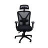 Ergonomic Executive High Back Chair - OFX Office